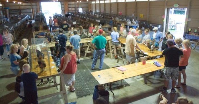 2013 Porter County Fair Schedule of Events: 4H Judging and Activities