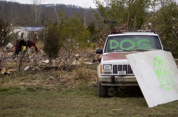 Lake County shelter volunteers lead animal rescue effort