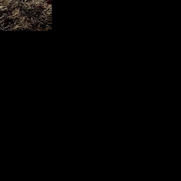 One killed, two injured in crash on I-65