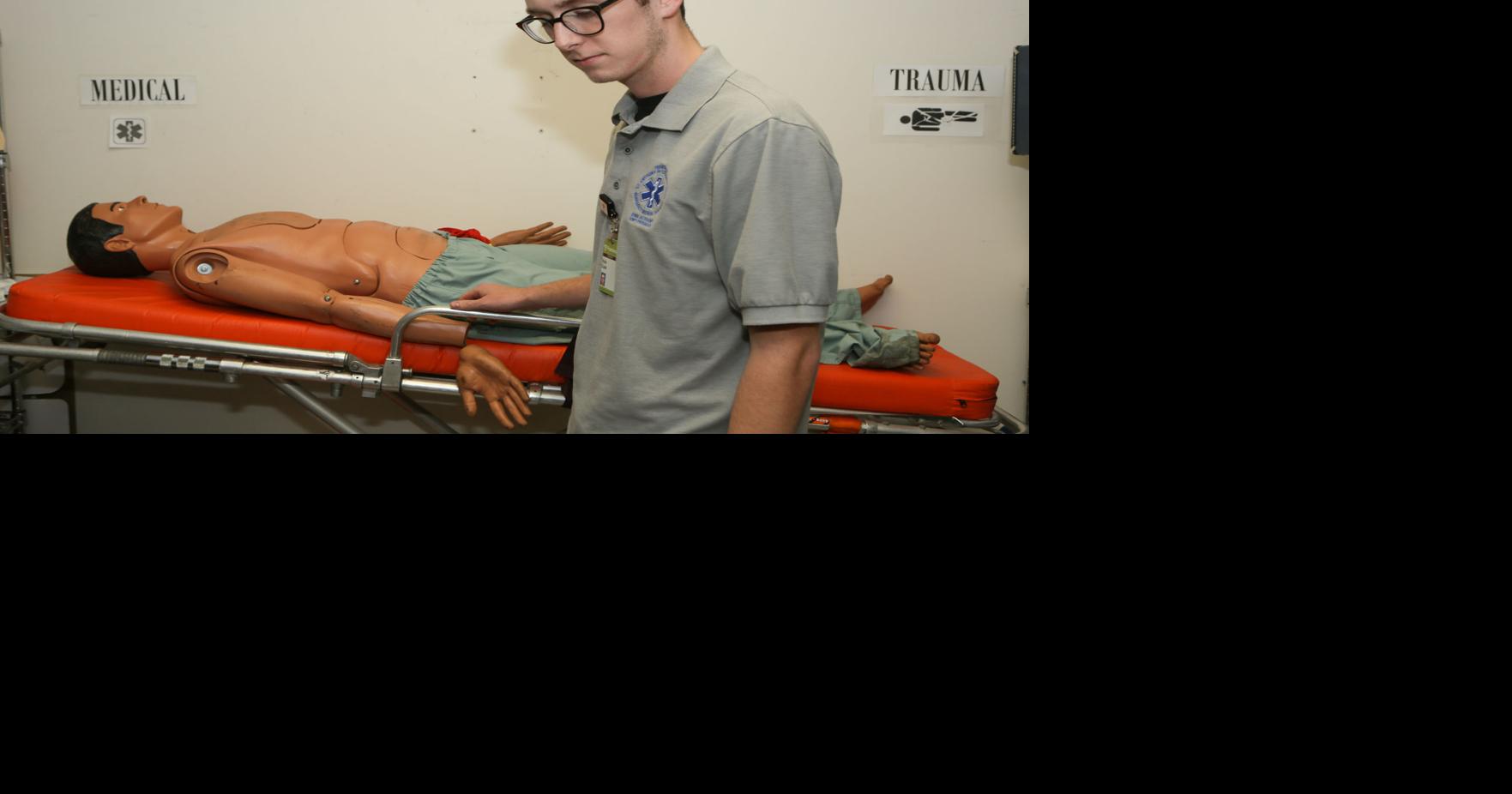 Students gaining practical work experience