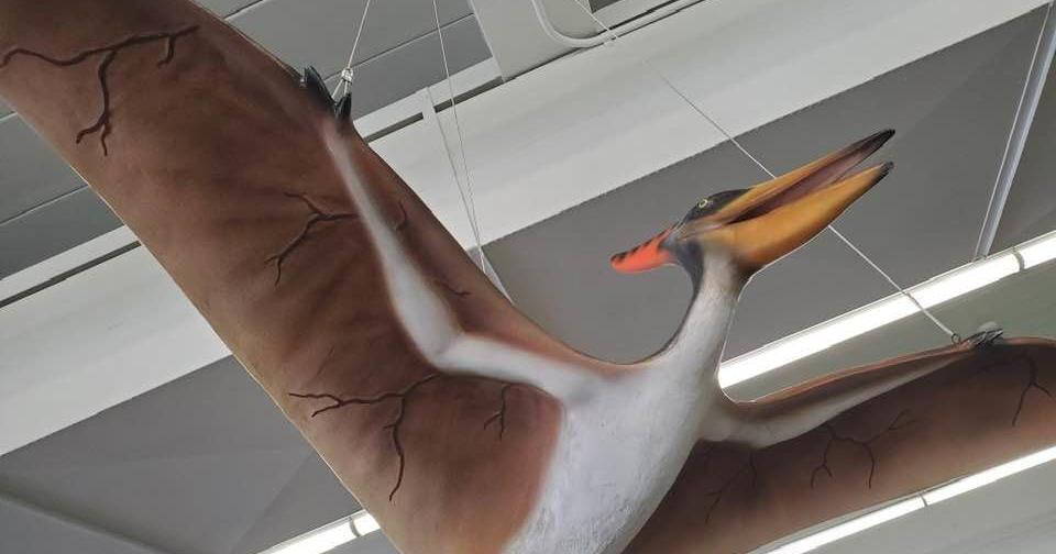 NWI Business Ins and Outs: Dinosaur attraction, pharmacy and massage ...