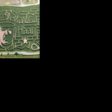 Kregel's Pumpkin Patch corn maze commemorates World War I general