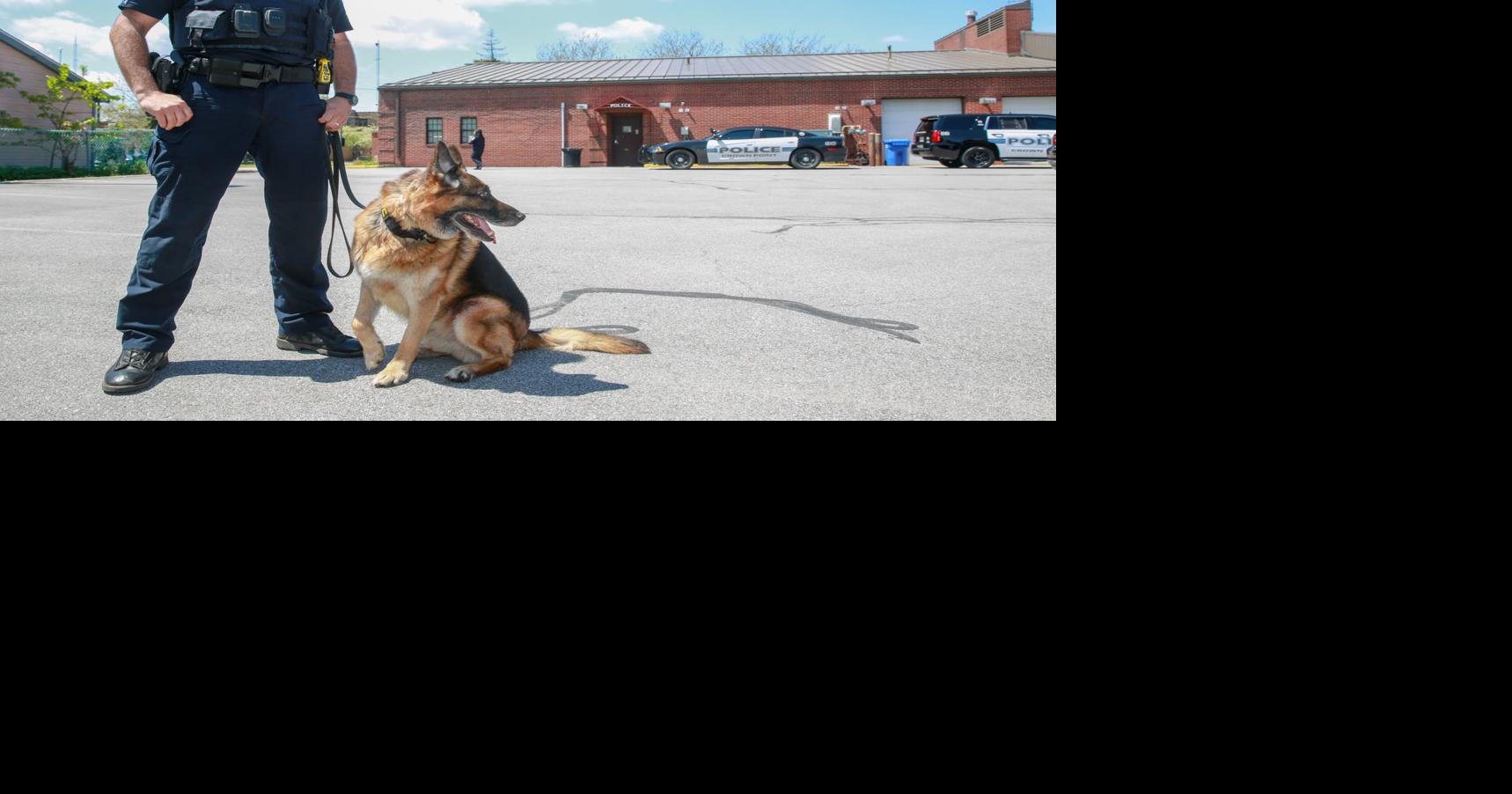 Crown Point Police’s drug-sniffing K-9 to be new D.A.R.E. sidekick