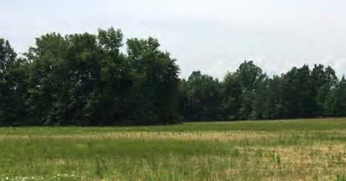 Porter County to open 167-acre Hawk Ridge Park