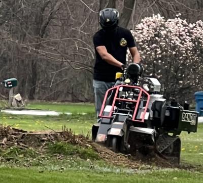 Region man leaves corporate world, runs tree stump firm