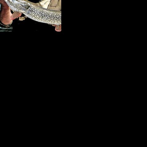 Alexander "Junnie" Matlove