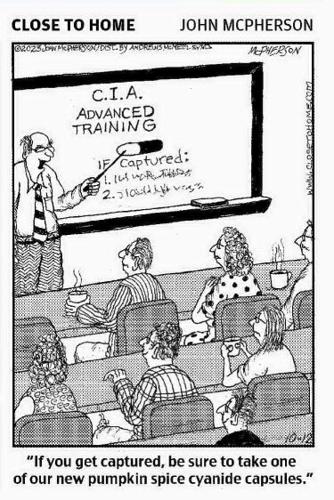 Page D3 eedition image