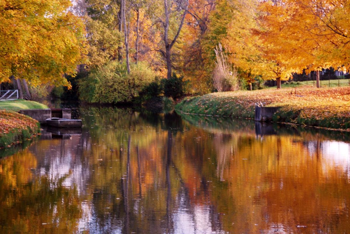 Celebrate the beauty of fall on a road trip to visit the gardens of ...