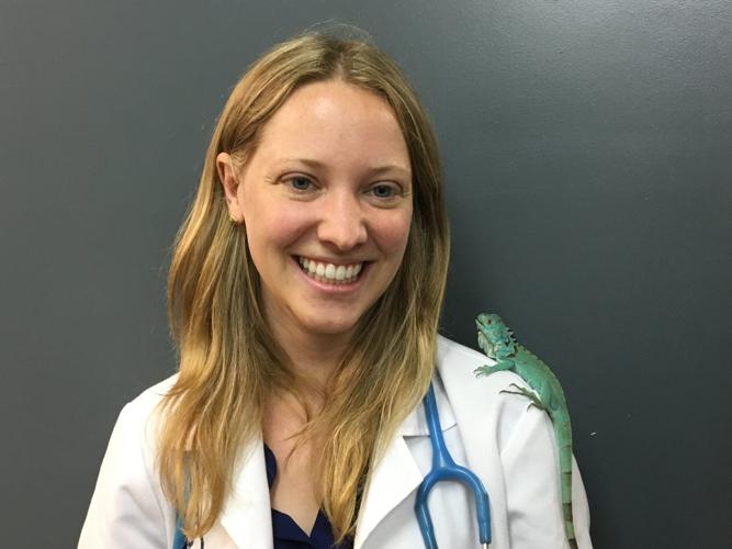 Region veterinarians stress preventive measures against heartworm ...