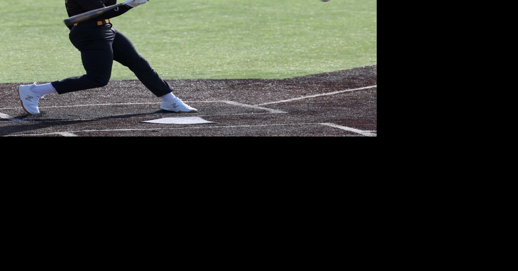 Check out the Region's prep baseball statistical leaders