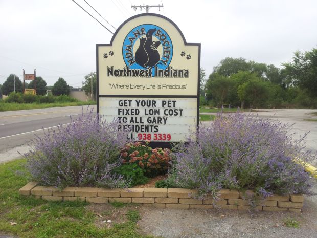 Crash destroys sign at Gary animal shelter