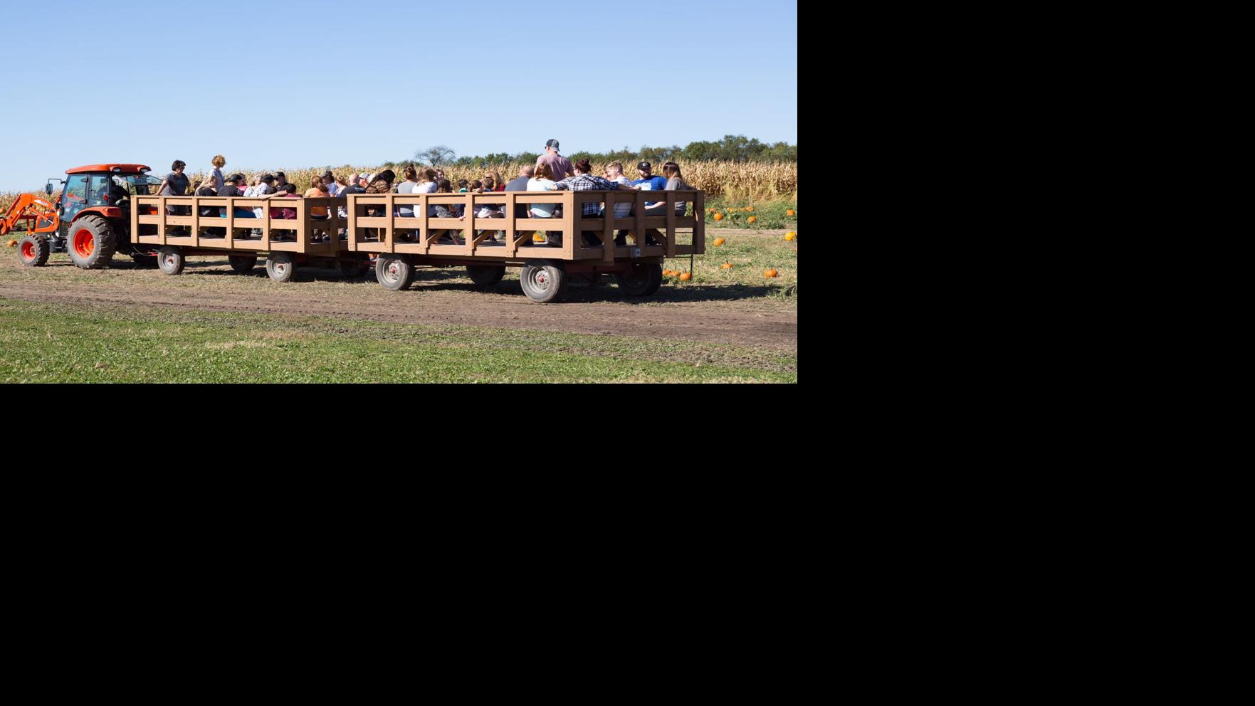 Fall fun in the Region includes hayrides | | nwitimes.com