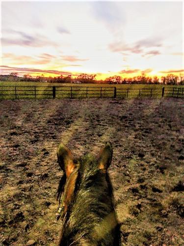 Shilo Ranch offers rides, instruction and the option to lease a horse
