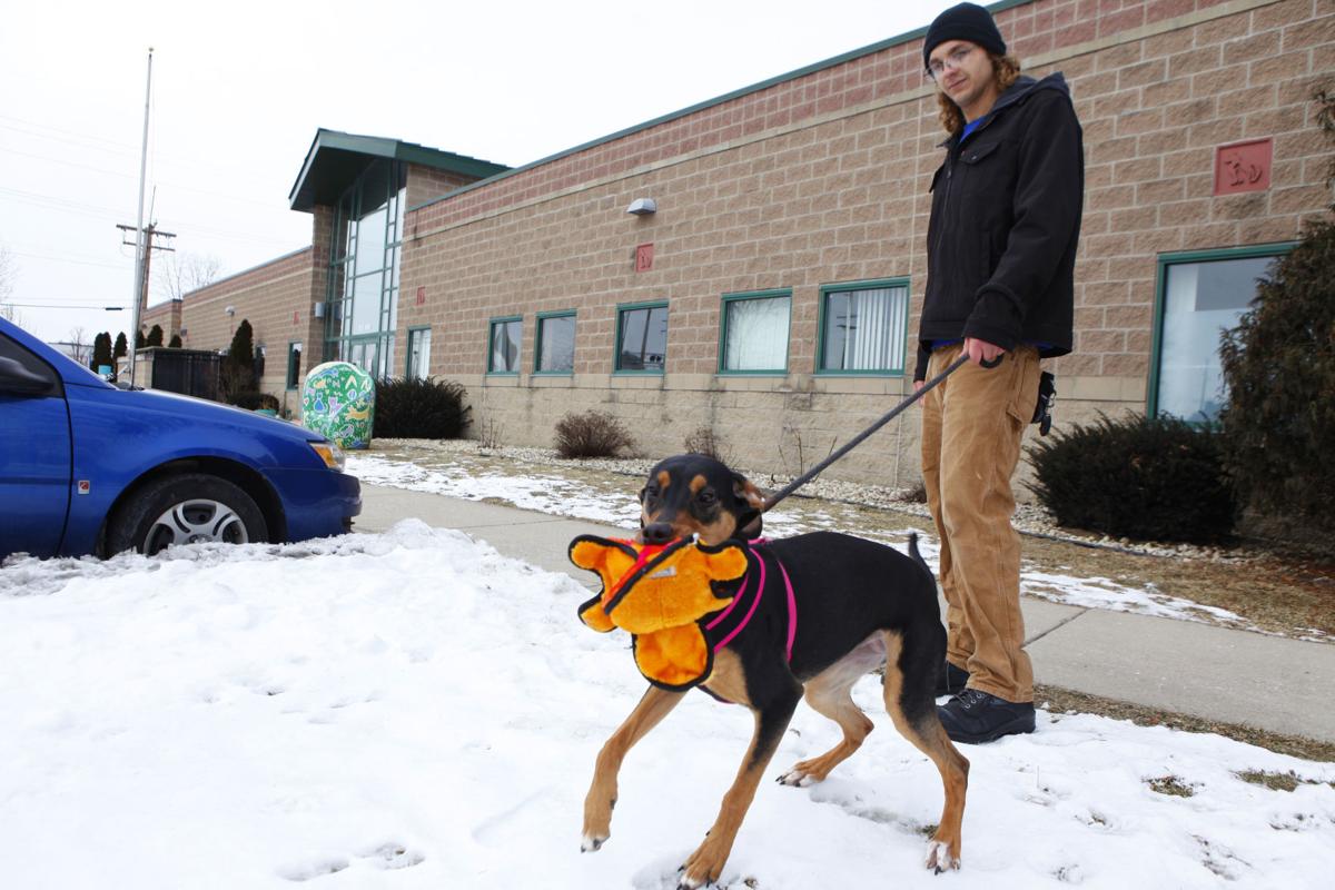 Humane Indiana shelter temporarily closes, adoptions postponed