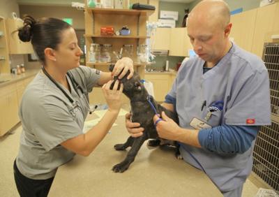 SMALL-BUSINESS SPOTLIGHT: Estelle Marcus Animal Clinic