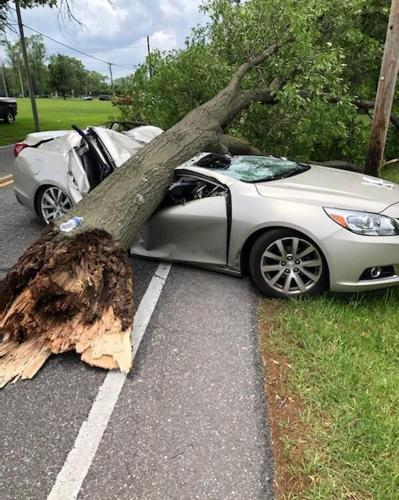 UPDATE: 1 airlifted after tree falls on vehicle, officials say