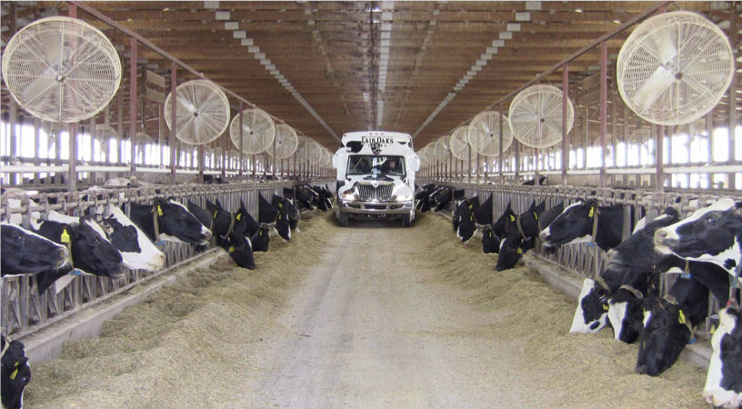 Fair Oaks Farms continues to expand