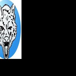 Whiting scores early, often against Boone Grove