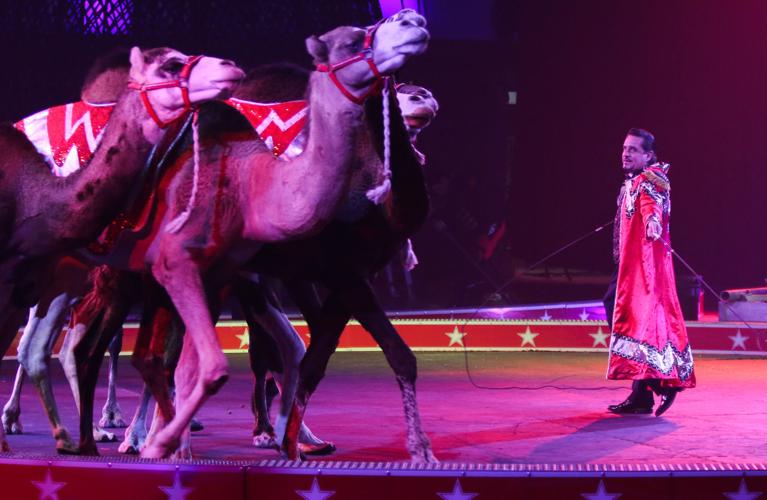 Orak Shrine Circus opens to four-day run