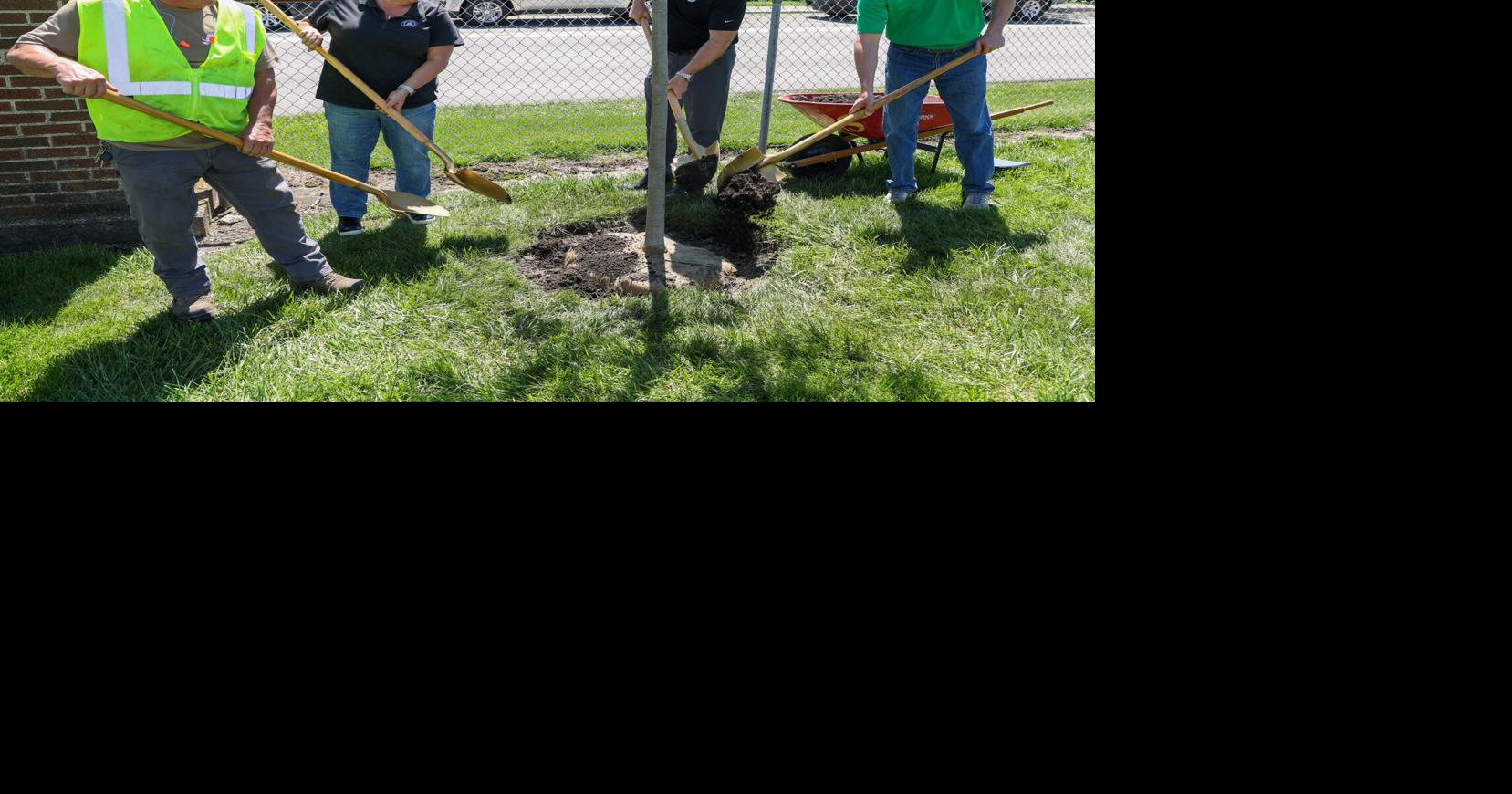 Crown Point makes tree-mendous effort for outdoor holiday