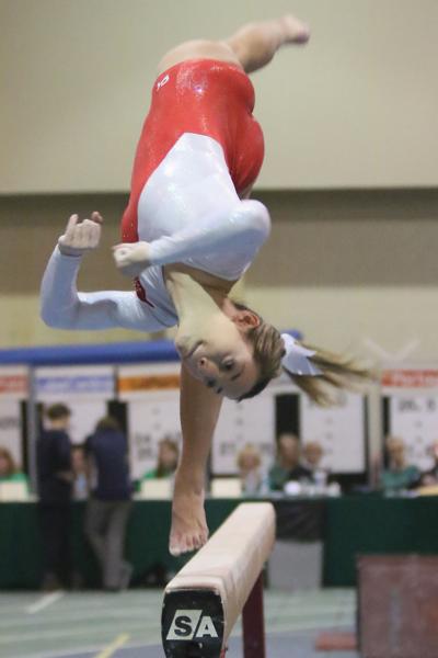 State Meet Notes: Crown Point to make first team appearance since 2005