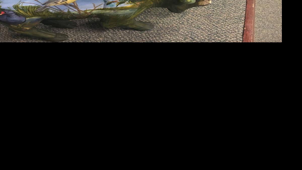 Bison-tennial mini bison auctioned off for nonprofits | Valparaiso News ...