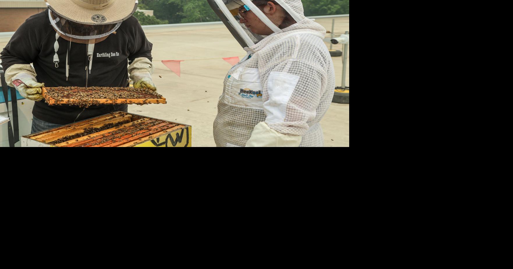 Pollinators take Purdue: PNW launches 3rd year of beehive program