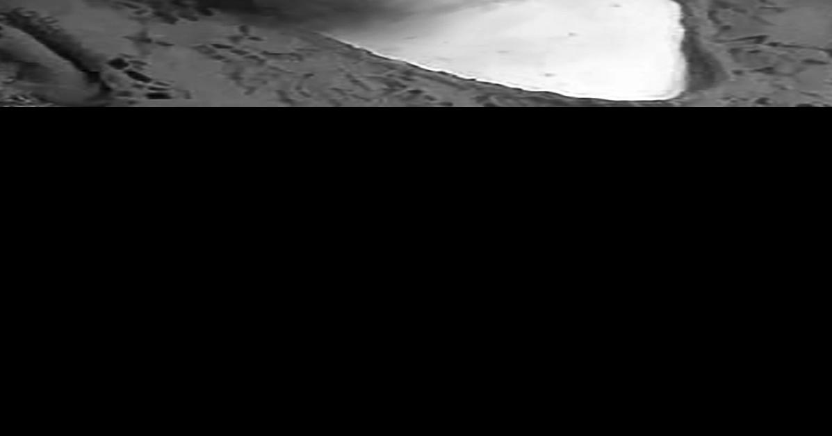 Patricia Lou Manwaring (nee Pearman)