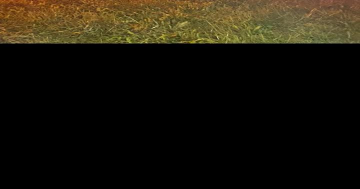 Reported explosion prompts evacuation; apartment building destroyed ...