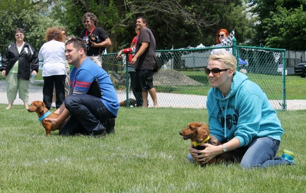 Bark for Life raises funds for cancer society