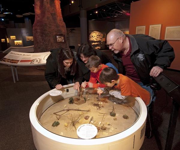'Nature's Architects' on exhibit at The Peggy Notebaert Nature Museum
