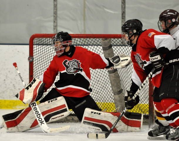 Crown Point Bulldogs to play for hockey state title