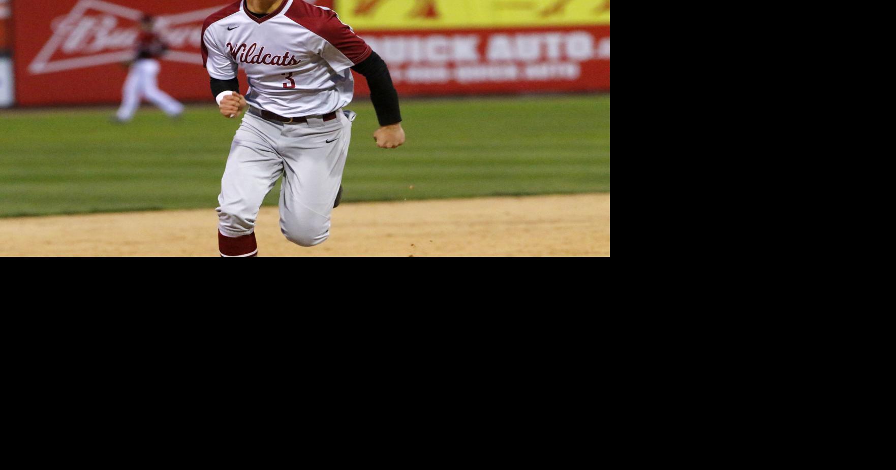 Hanover Central claims first baseball sectional in a decade