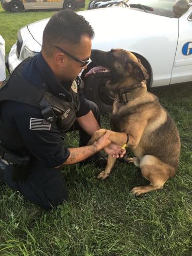 Vested Interest in K9s works to keep 4-legged officers safe