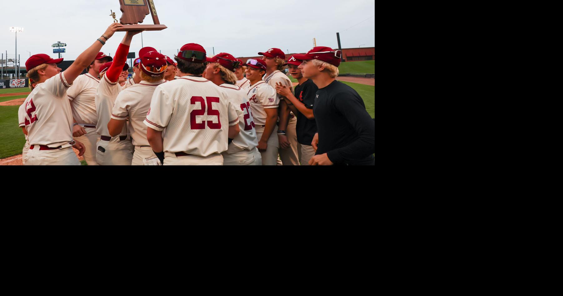 Meet the state-bound Andrean 59ers baseball team