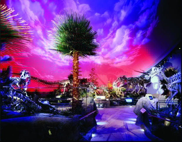 Introducing Leonardo: Most well-preserved dinosaur in the world resides ...