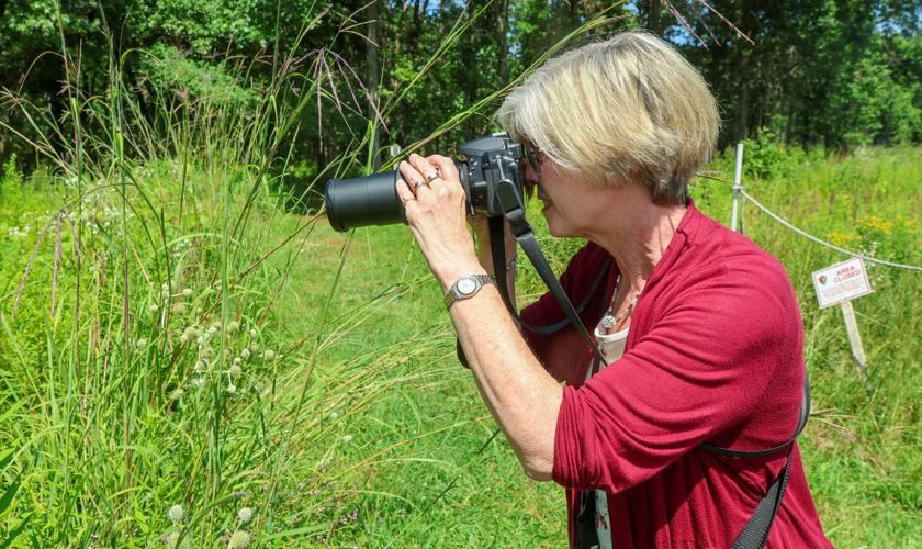 Chesterton painter in own backyard as an Indiana Dunes Artist in Residence