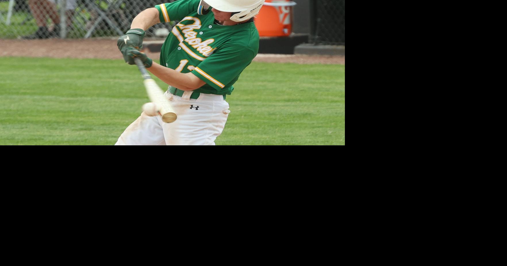 Grant Cowger delivers on mound, at plate for Morgan Township