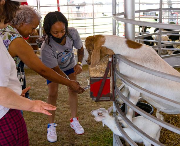 Kids of all ages fill petting zoo at Lake County Fair