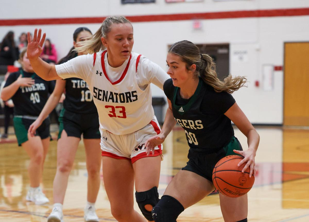 Scouting Porter County Conference girls basketball