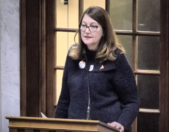 Senate Elections Committee redistricting hearing