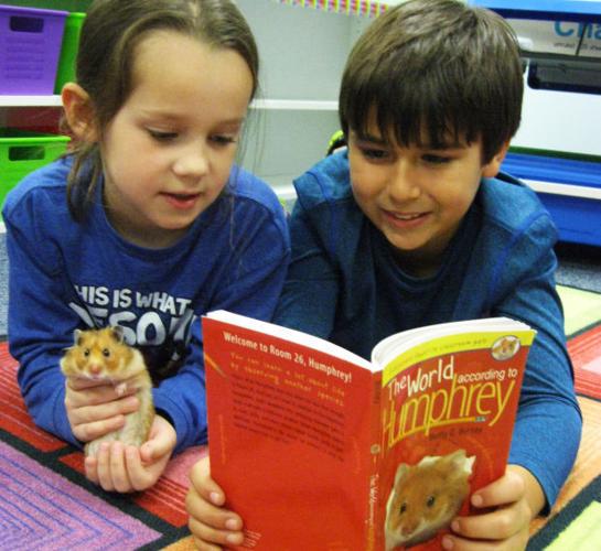 Hamster makes reading popular at Bibich Elementary School