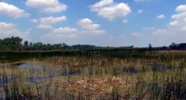 The Story of the Grand Kankakee Marsh broadcast premiere November 5