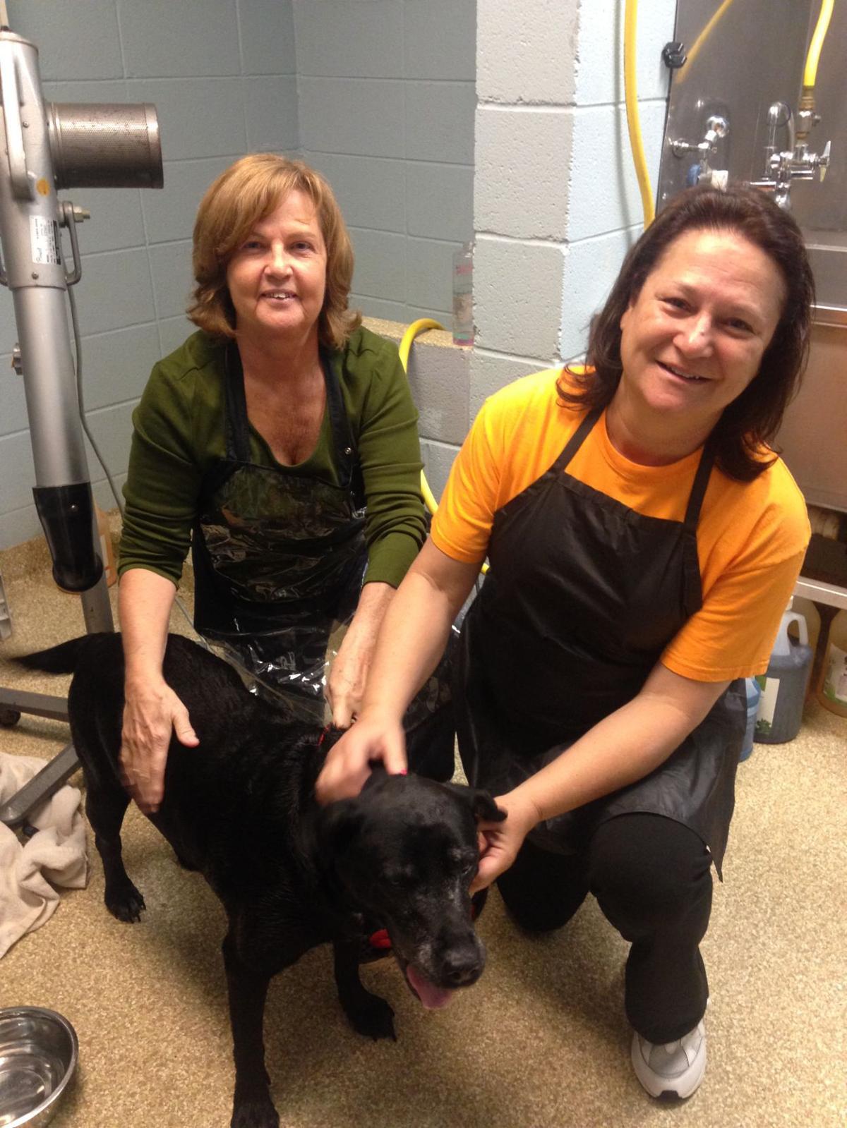Take a try at volunteering this holiday season | Health & Beauty ...