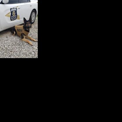 ISP K9 Kai has received donation of body armor