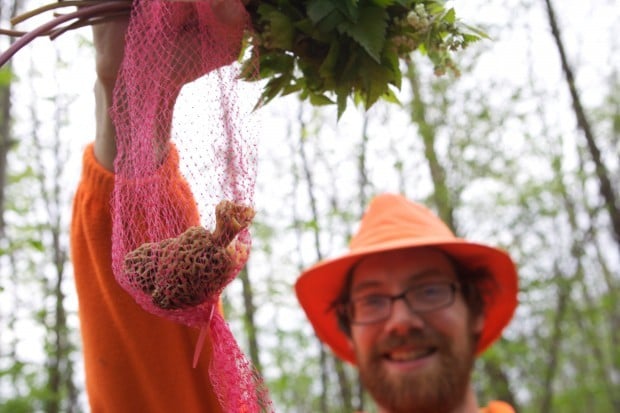 Foraging in the Michigan wild, somewhere near Wyncroft