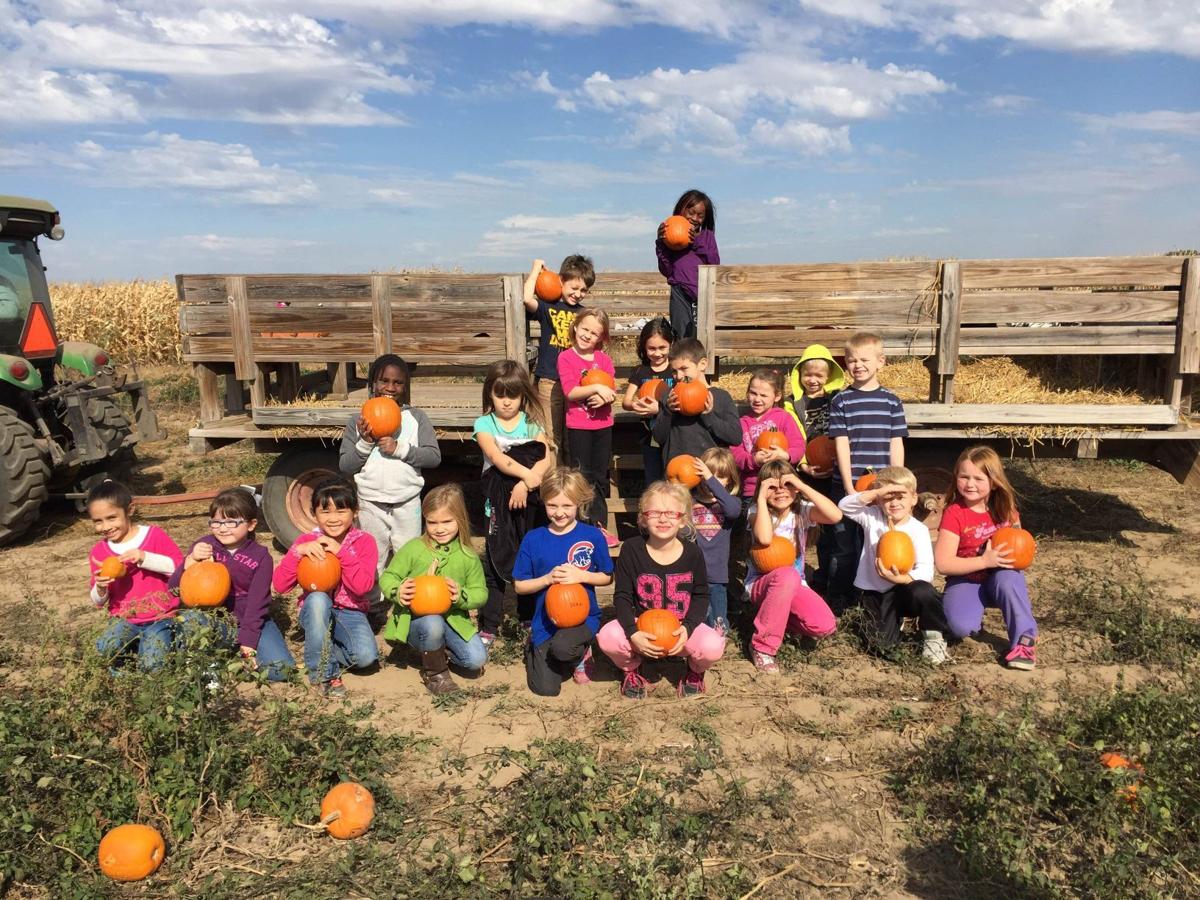 Children visit pumpkin patch