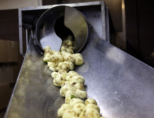 Gallery: Peerless Potato Chips