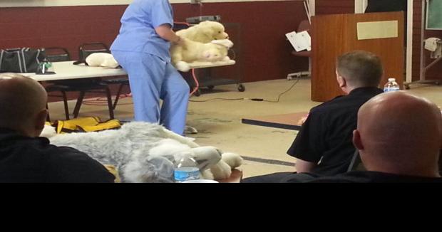 First aid for animals