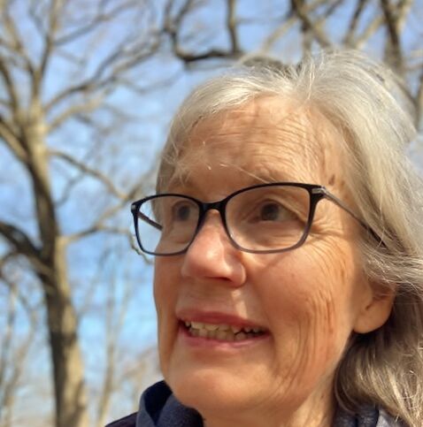 BOOKS: Author Laurie Lawlor explores nature in latest book